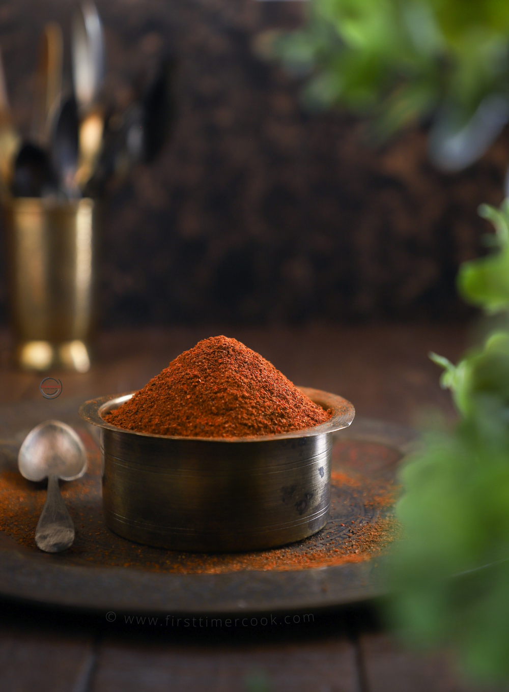 Tandoori Masala Powder - First Timer Cook